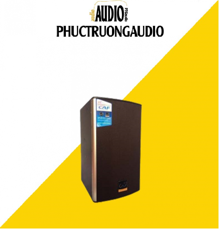 Loa Karaoke CAF CA-110 Pro giá rẻ review mới 2025